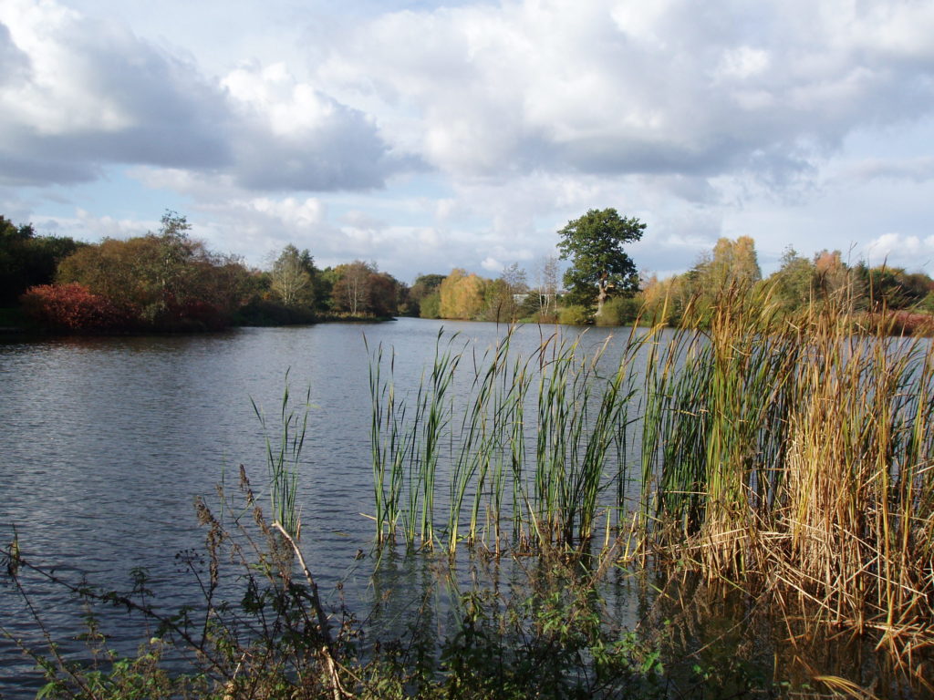 Moors Valley Country Park brings visual impairment into focus with ...