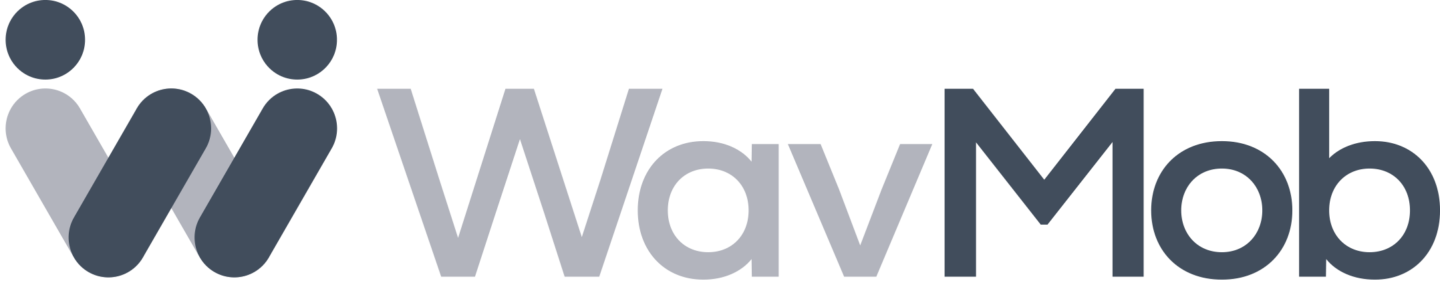 Choose Independence - with WavMob - Able Magazine